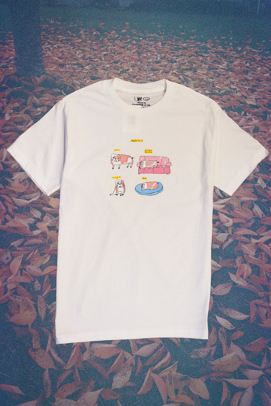 Chapter 11 tv – Chapter11.tv